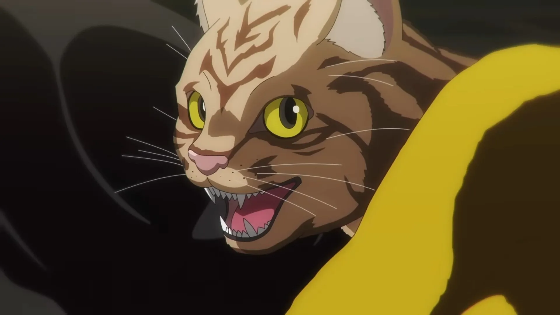 活着的猫动漫的Nyaight将于7月6日首映 - Mzdya.com